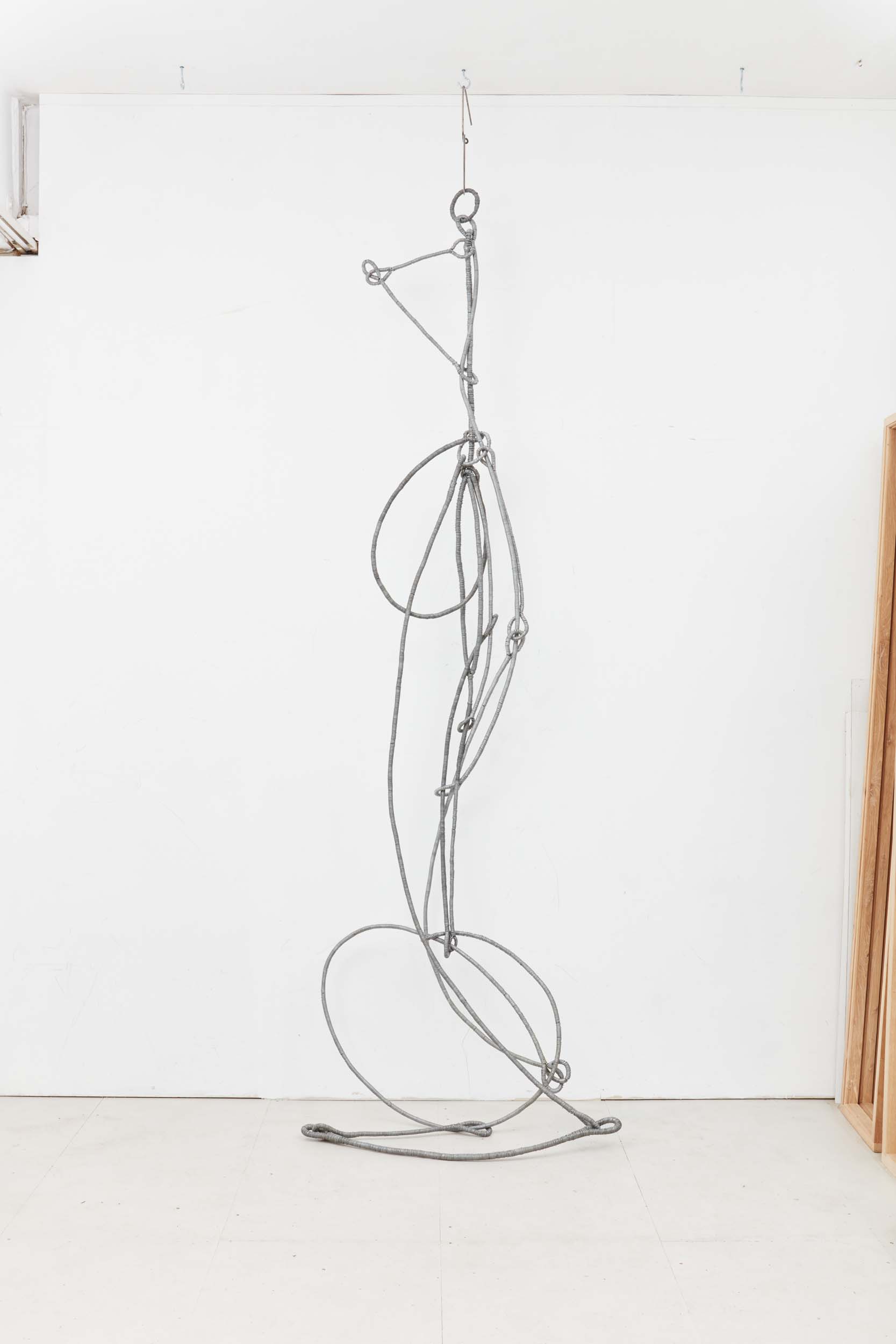 Anatomy I – Matt Rugg